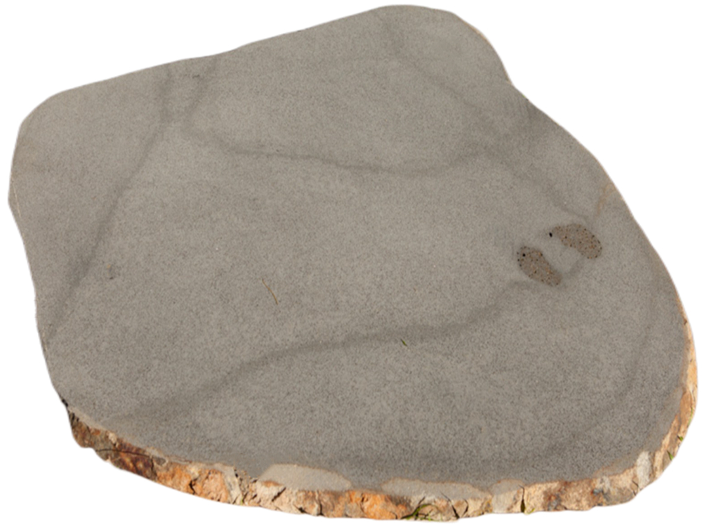 Bluestone stepping stones - Pathway steppers - Landscaping stone